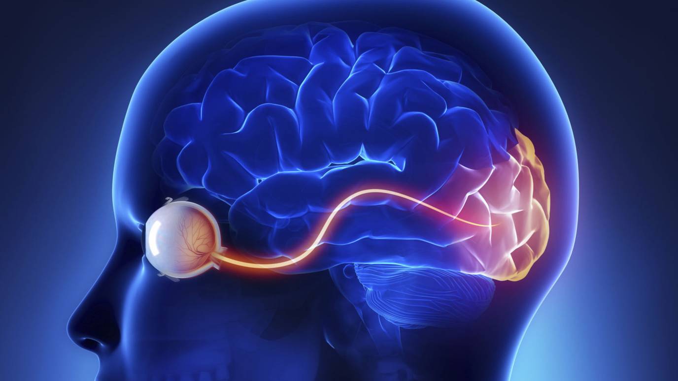 Improving Eye Tracking to Assess Brain Disorders - - Global Neurology ...