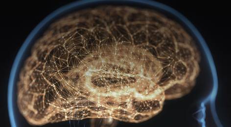 Online Education - Global Neurology Academy