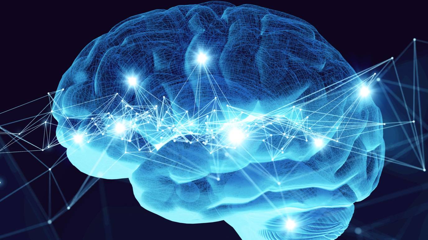 New Tool Reveals Details of the Microscopic Brain Structures Between ...