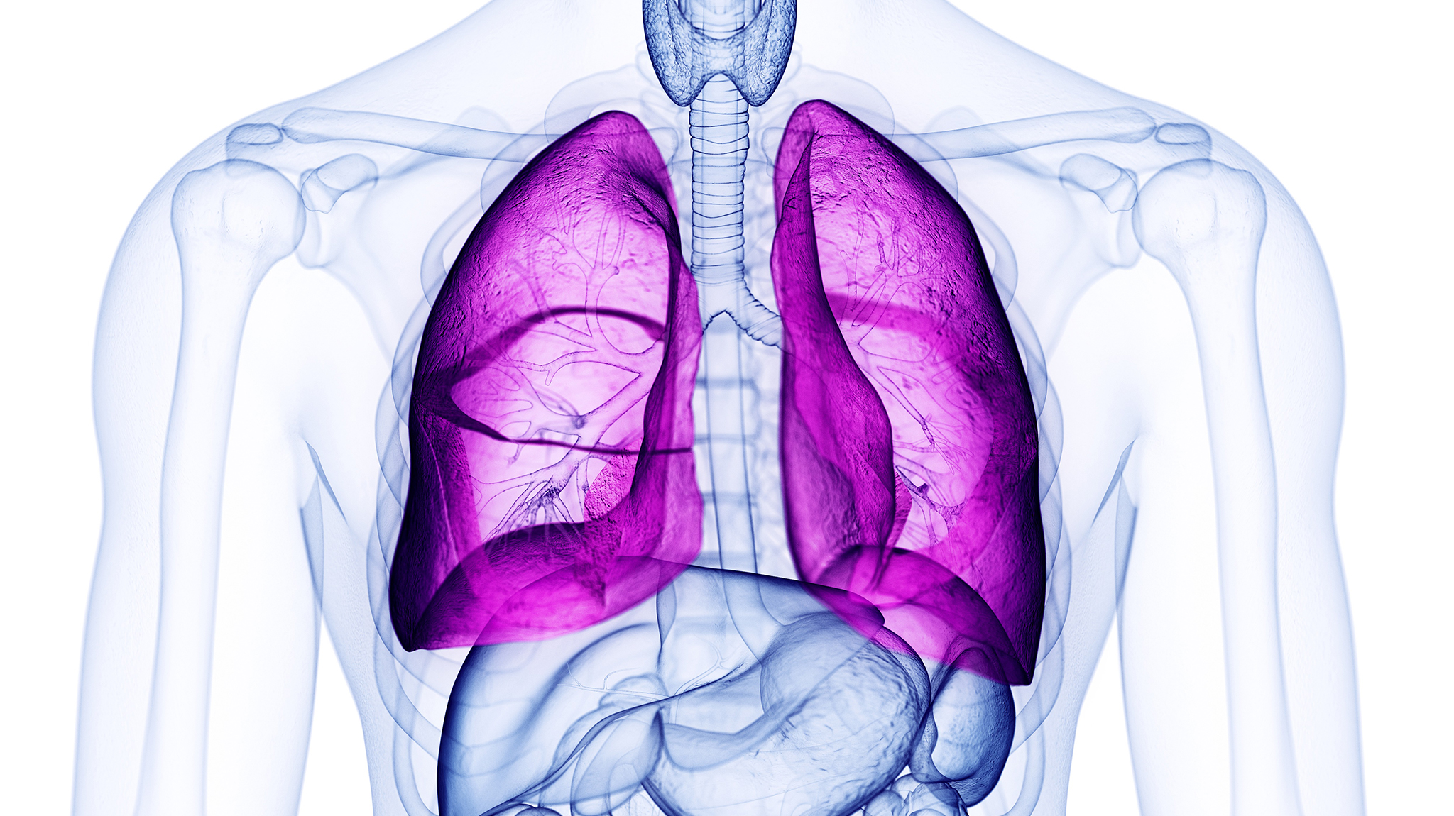 Pulmonary Medicine - Global Neurology Academy