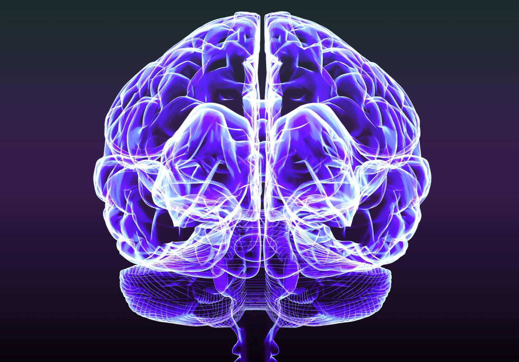 How the Brain's Inner Chamber Governs Our State of Consciousness ...