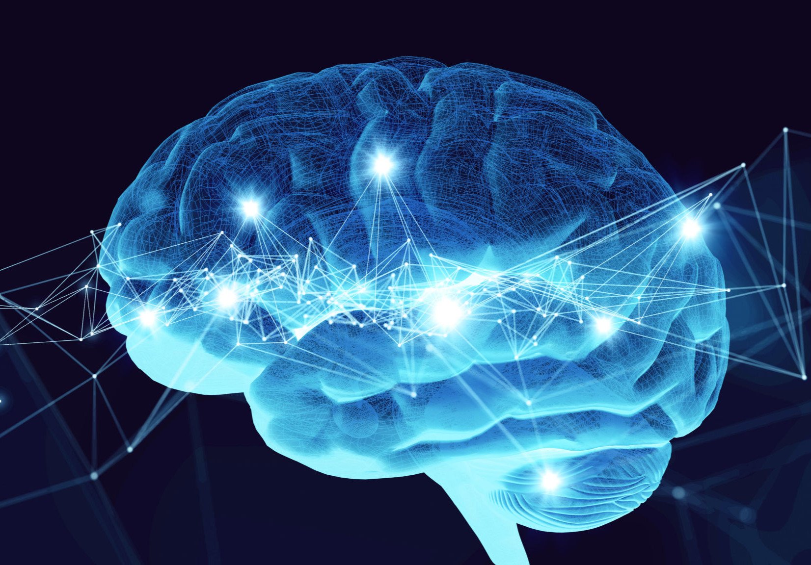 New Tool Reveals Details of the Microscopic Brain Structures Between ...